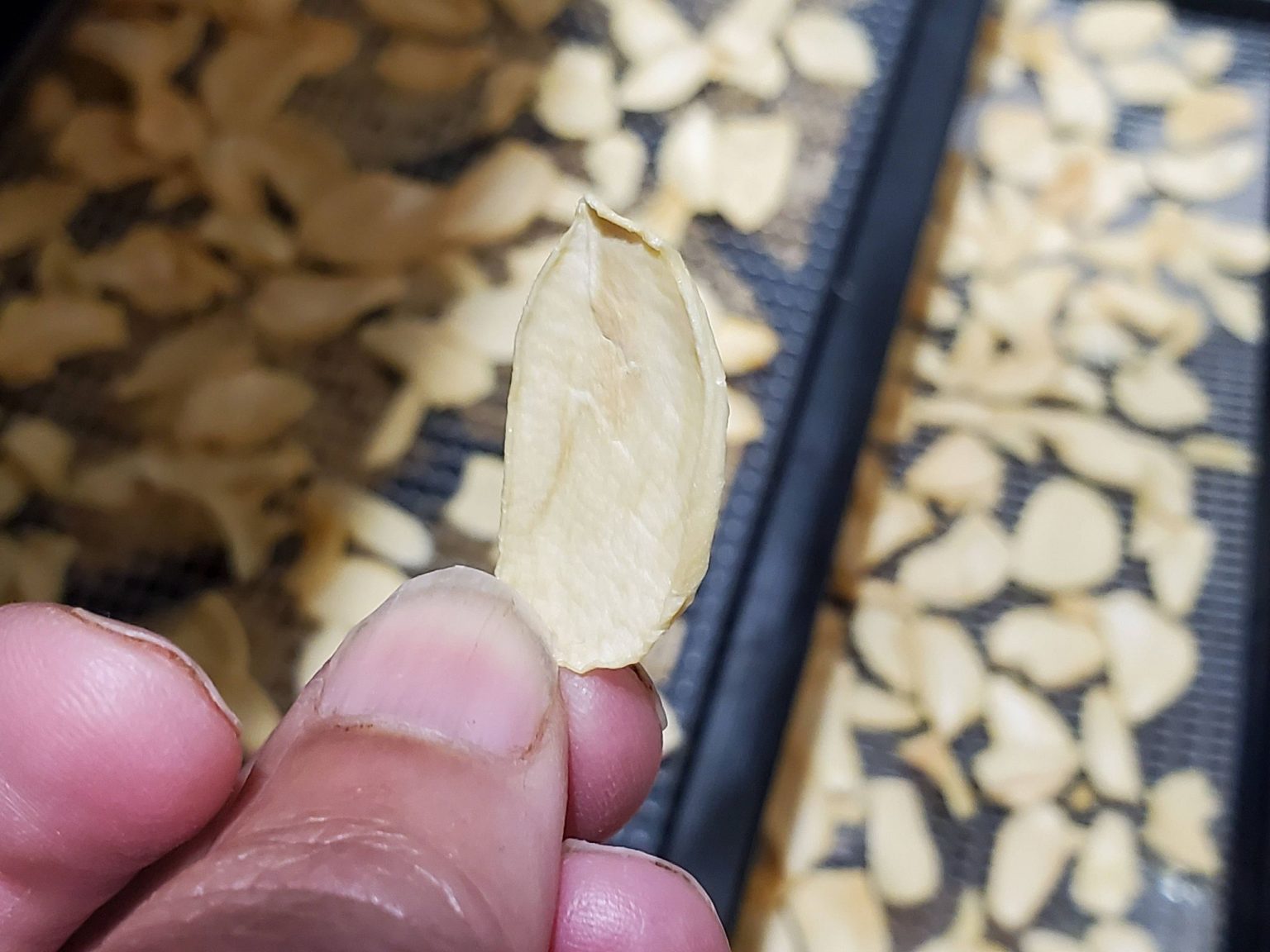 Make Garlic Powder by Dehydrating Garlic - Countryside